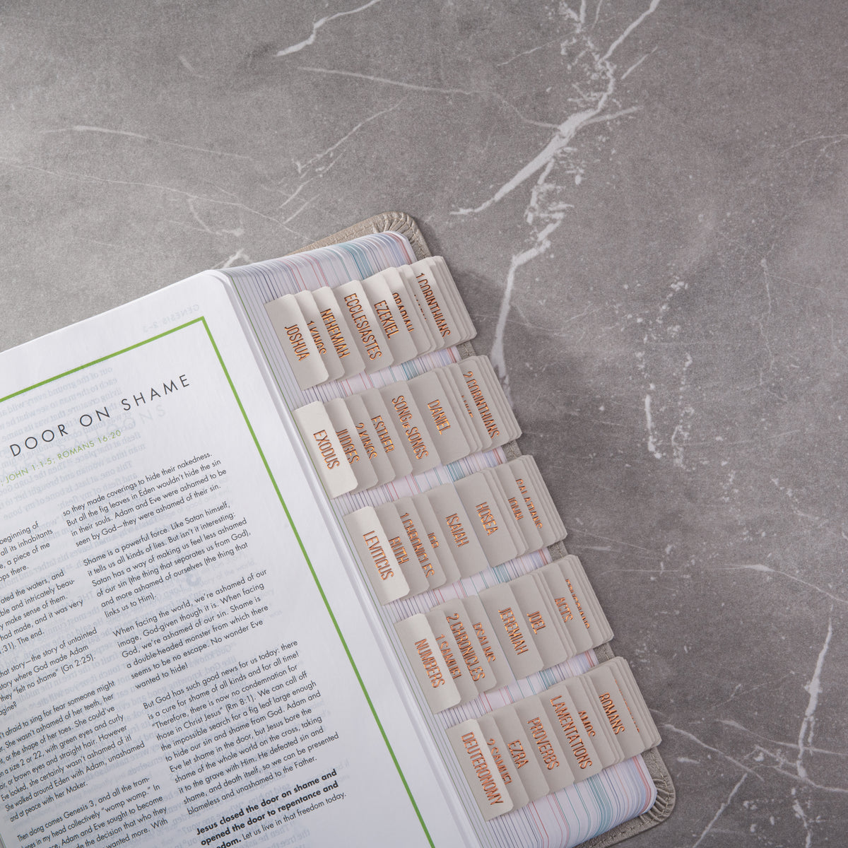 Bible Tabs - Alabaster Theme (Copper Embossed Lettering) – DiverseBee